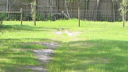 4 Best Types of Backyard Drainage Systems - Slot Drain