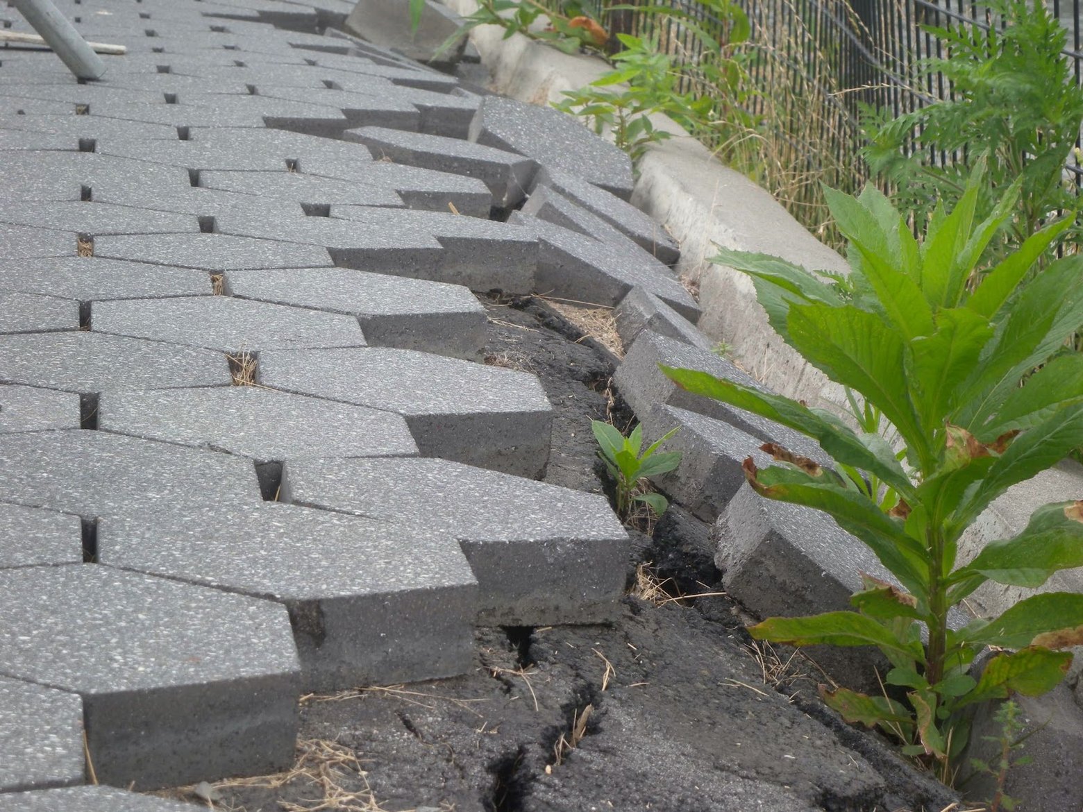 6 Reasons Why Your Pavers Need Good Drainage