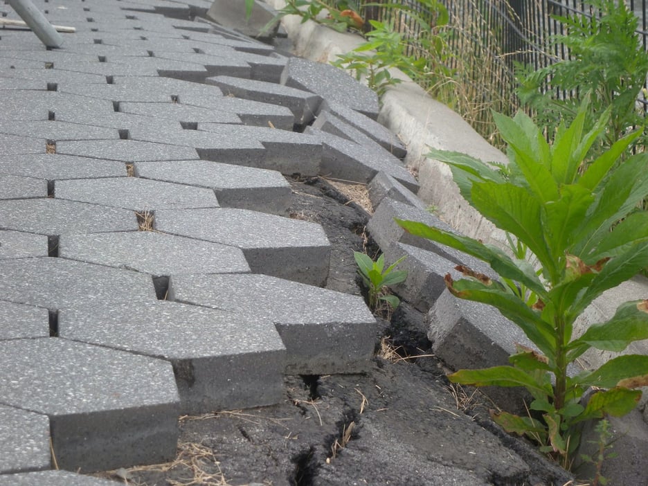 6 Reasons Why Your Pavers Need Good Drainage